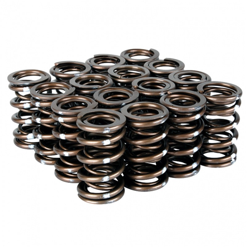 Skunk2 Pro Series Honda/Acura B-Series VTEC XP Valve Spring Set (Dual ...